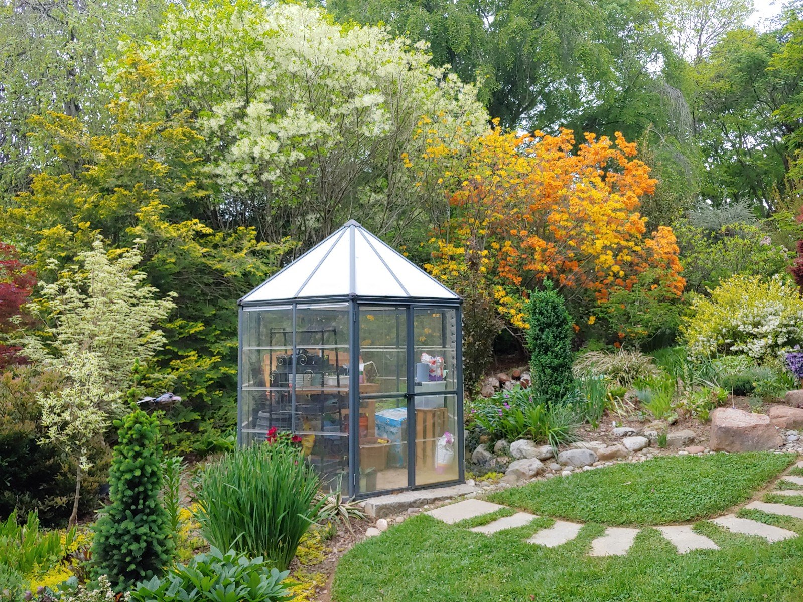 At its best – Ramblin' through Dave's Garden