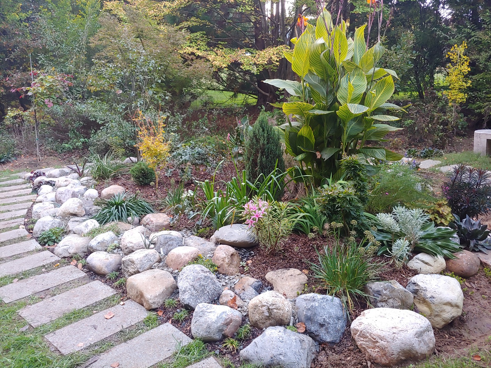 Thinking about next year – Ramblin' through Dave's Garden