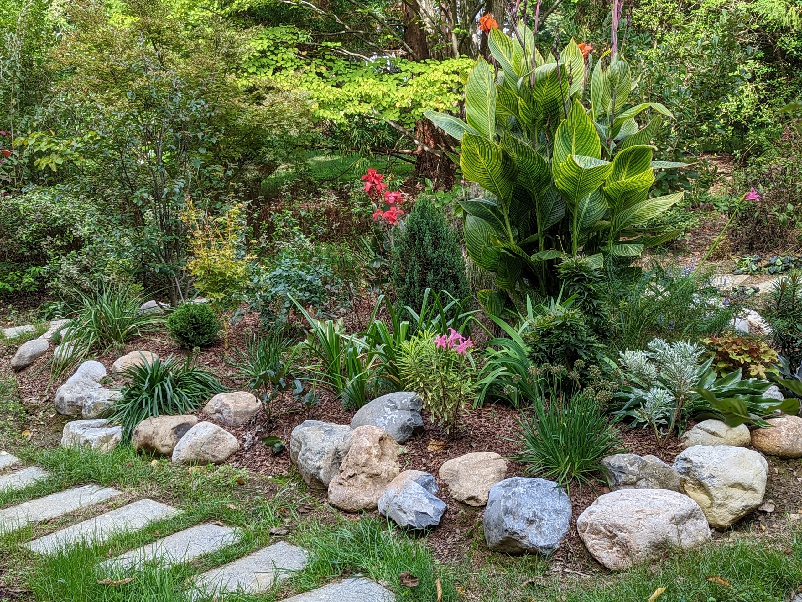 What’s new – Ramblin' through Dave's Garden