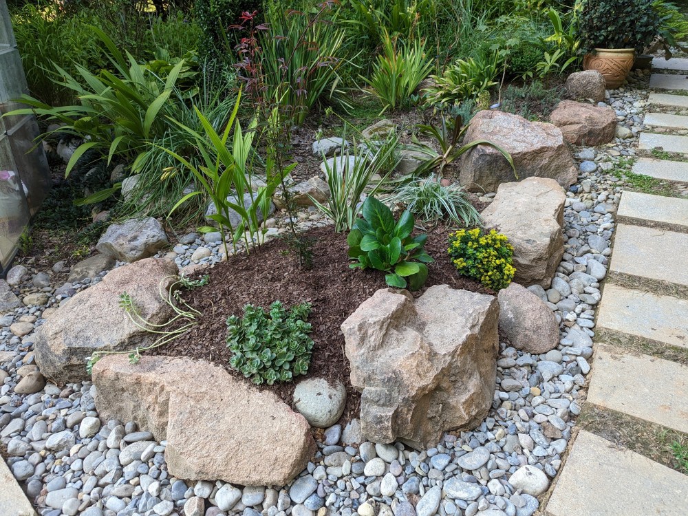 What’s new – Ramblin' through Dave's Garden
