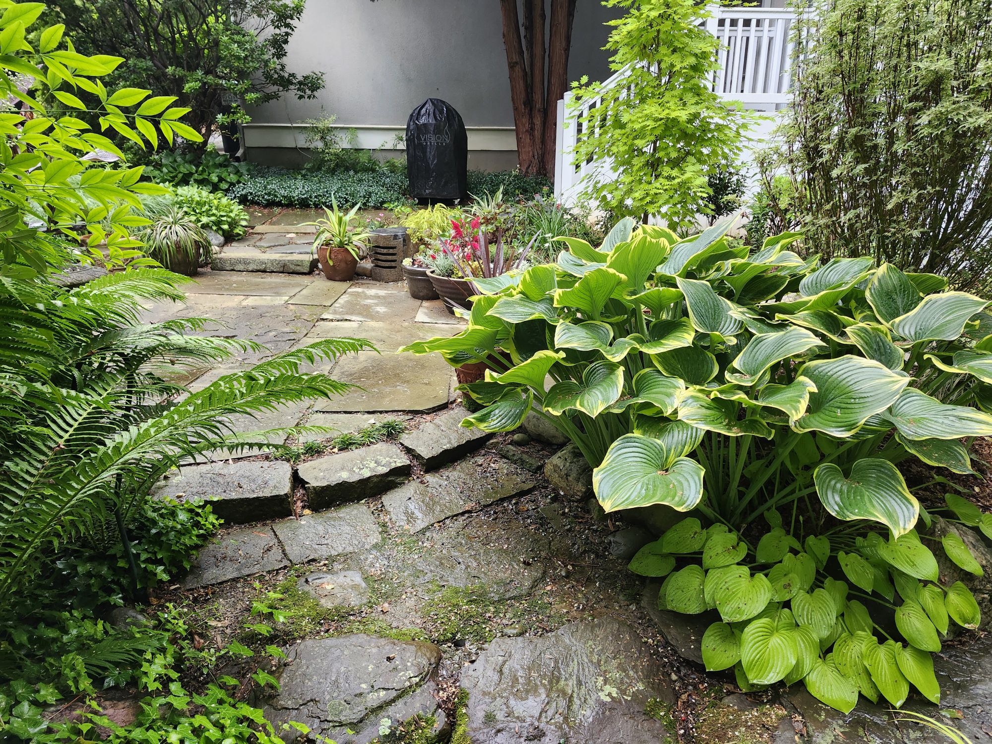 Plan ahead? – Ramblin' through Dave's Garden