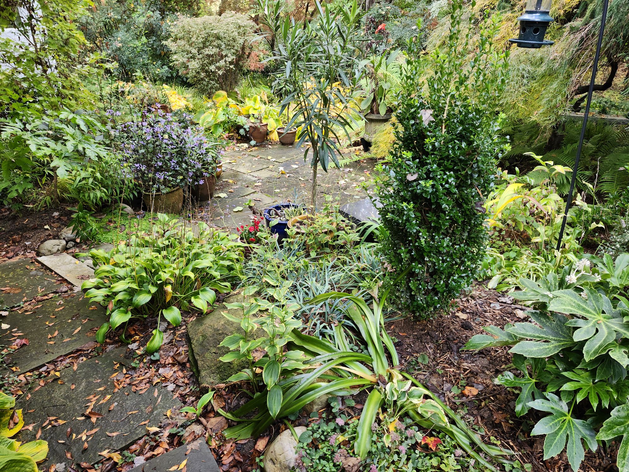 It needs more – Ramblin' through Dave's Garden